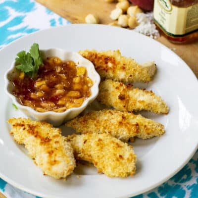 Coconut Macadamia Chicken Tenders - Spicy Southern Kitchen