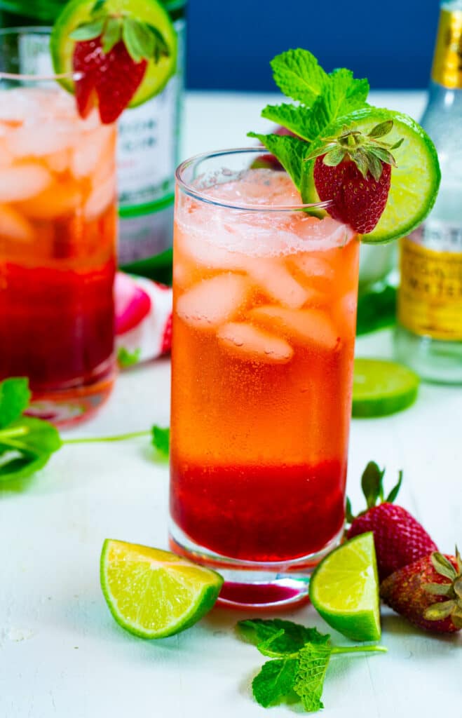 Strawberry Gin and Tonic - Spicy Southern Kitchen