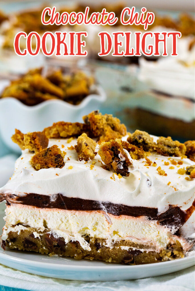 Chocolate Chip Cookie Delight - Spicy Southern Kitchen