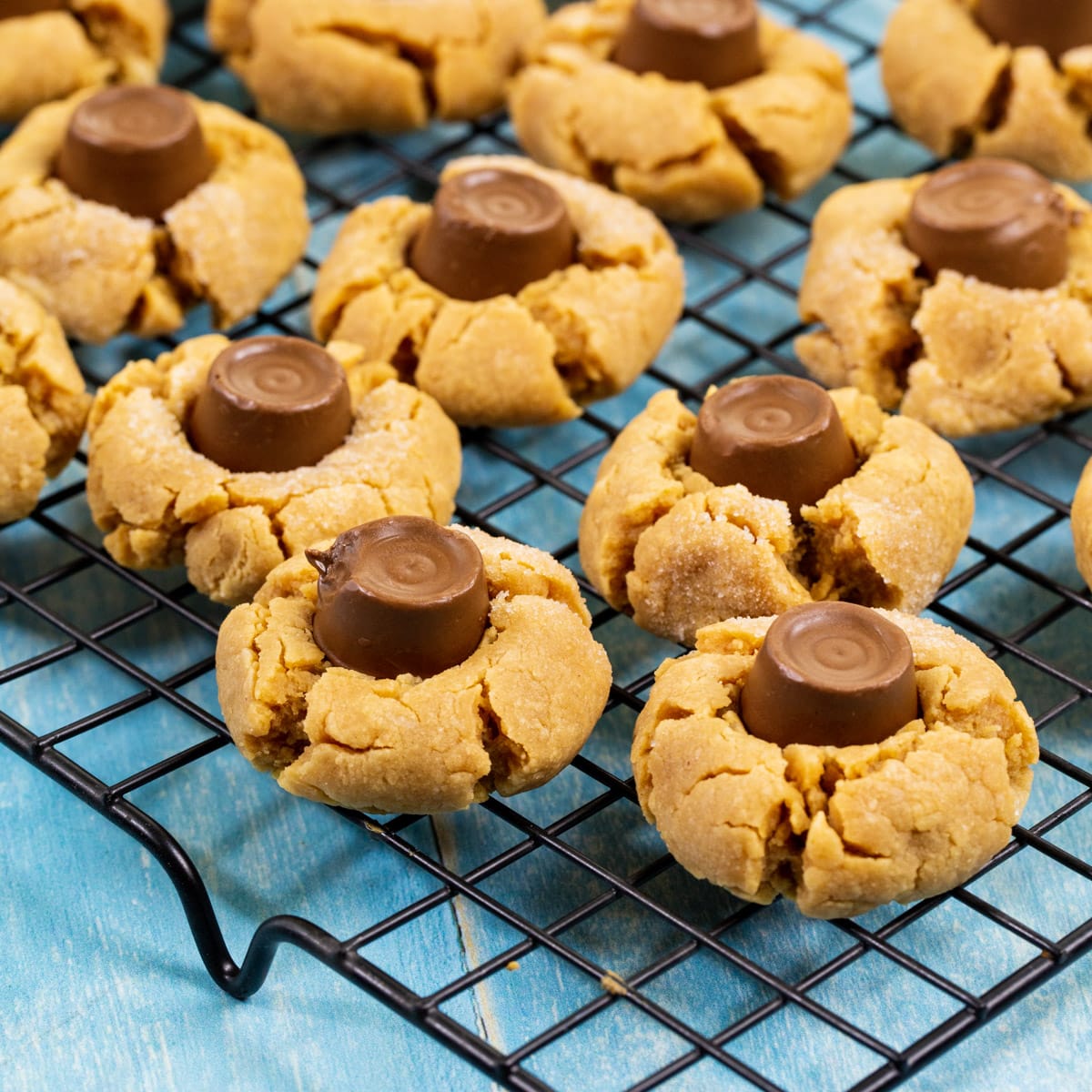 Rolo Blossom Cookies - Spicy Southern Kitchen