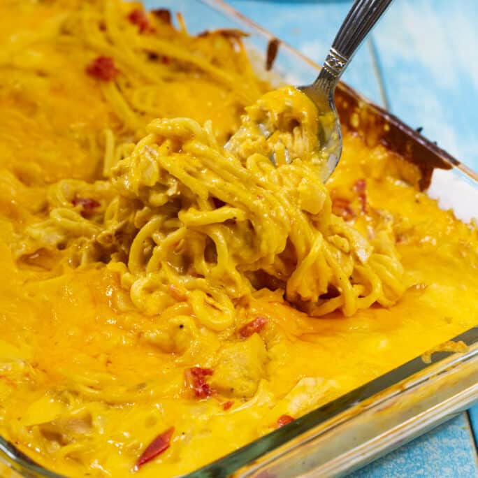 Spicy Chicken Spaghetti - Spicy Southern Kitchen