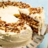 Kentucky Blackberry Jam Cake - Spicy Southern Kitchen