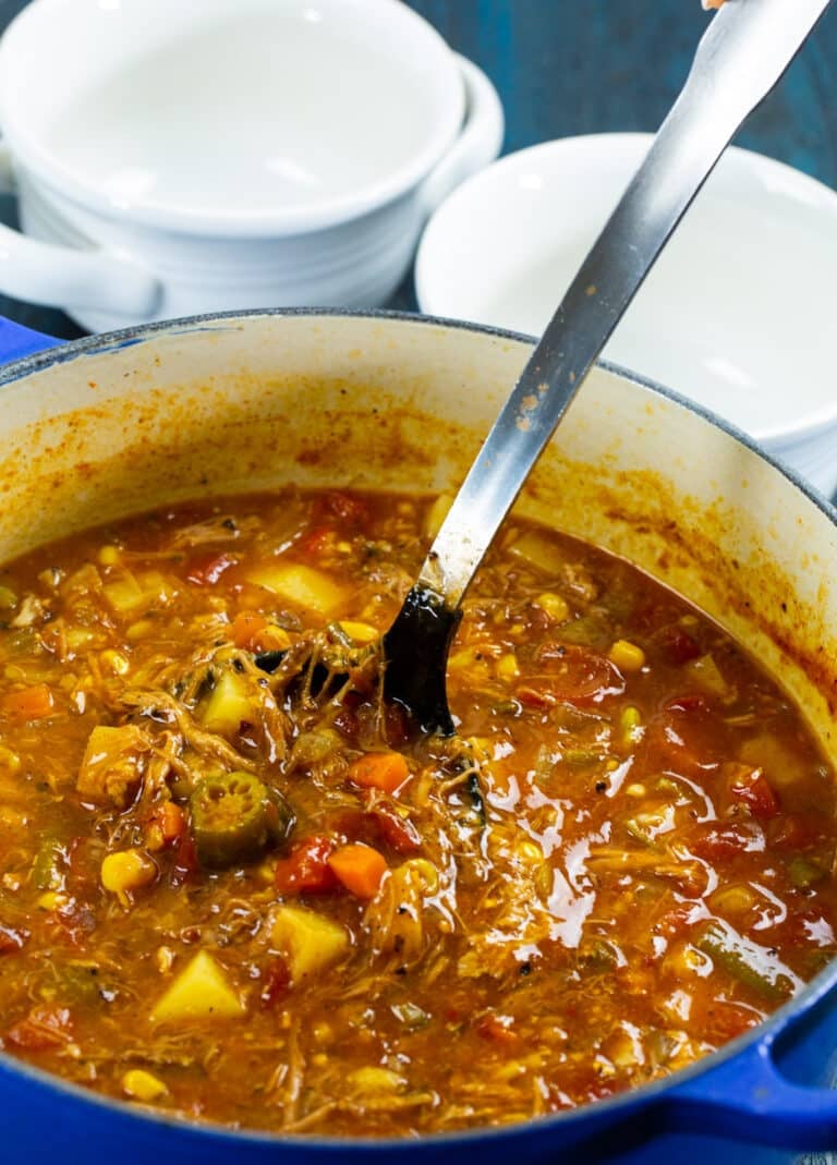 Pulled Pork Vegetable Soup - Spicy Southern Kitchen