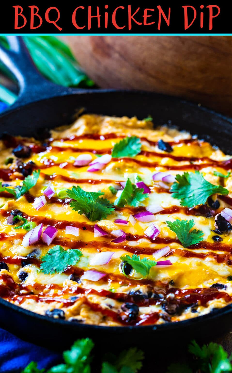 BBQ Chicken Dip Recipe - Spicy Southern Kitchen