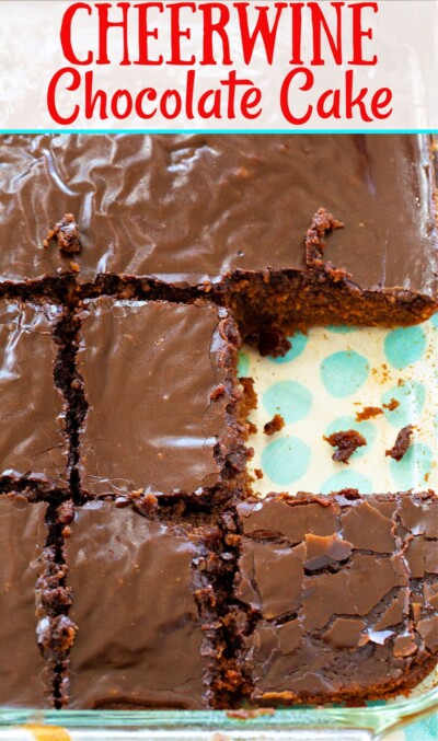 Cheerwine Chocolate Cake - Spicy Southern Kitchen