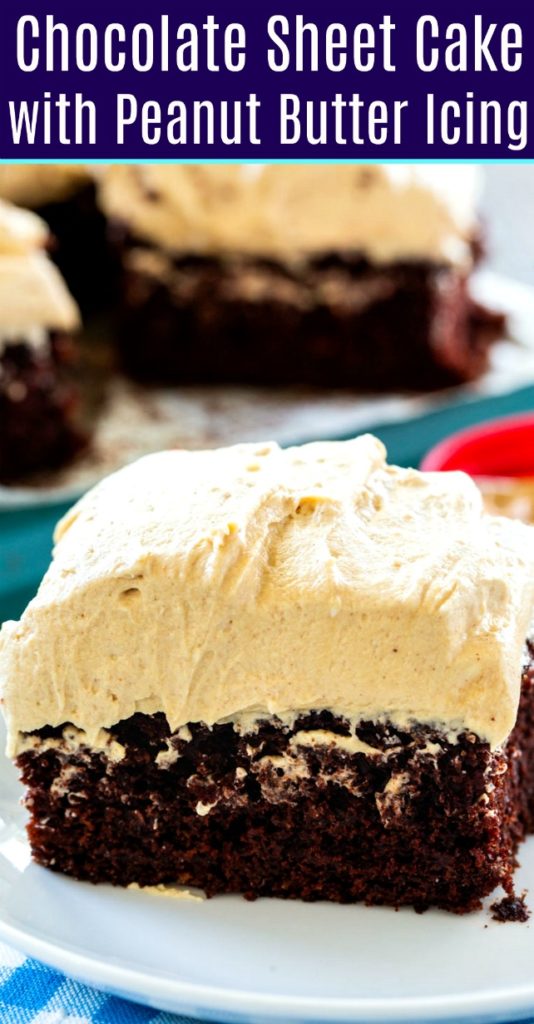 Chocolate Sheet Cake with Peanut Butter Frosting - Spicy Southern Kitchen