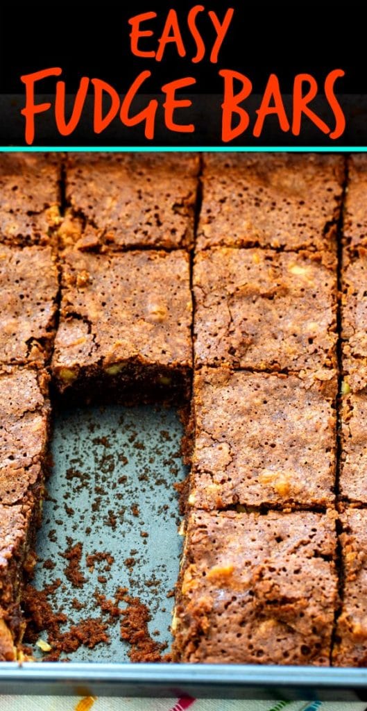 Easy Fudge Bars - Spicy Southern Kitchen
