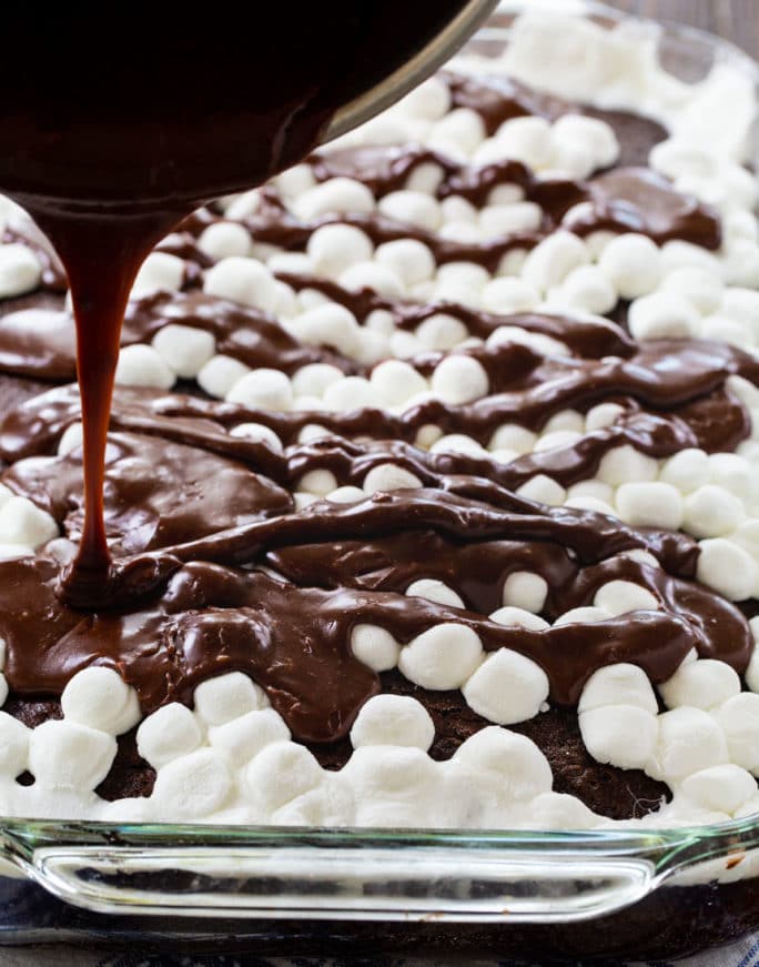 Mississippi Mud Cake - Spicy Southern Kitchen