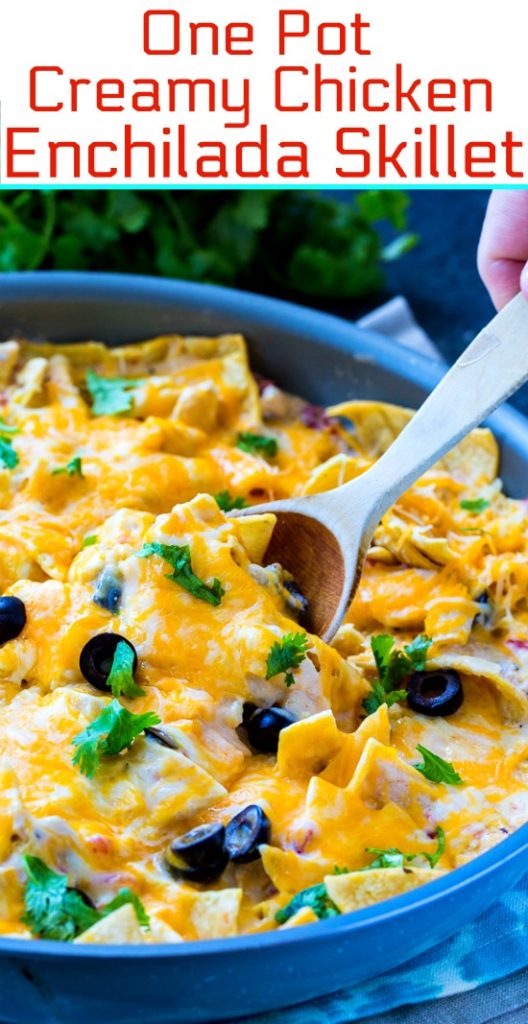 One Pot Creamy Chicken Enchilada Skillet - Spicy Southern Kitchen