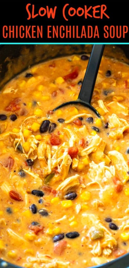 Slow Cooker Chicken Tortilla Soup Spicy Southern Kitchen