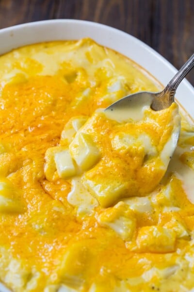 Cheesy Potatoes - Spicy Southern Kitchen