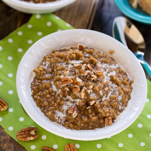 Gingerbread Steel-Cut Oatmeal - Spicy Southern Kitchen