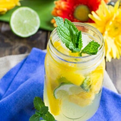 Mango Mojito - Spicy Southern Kitchen