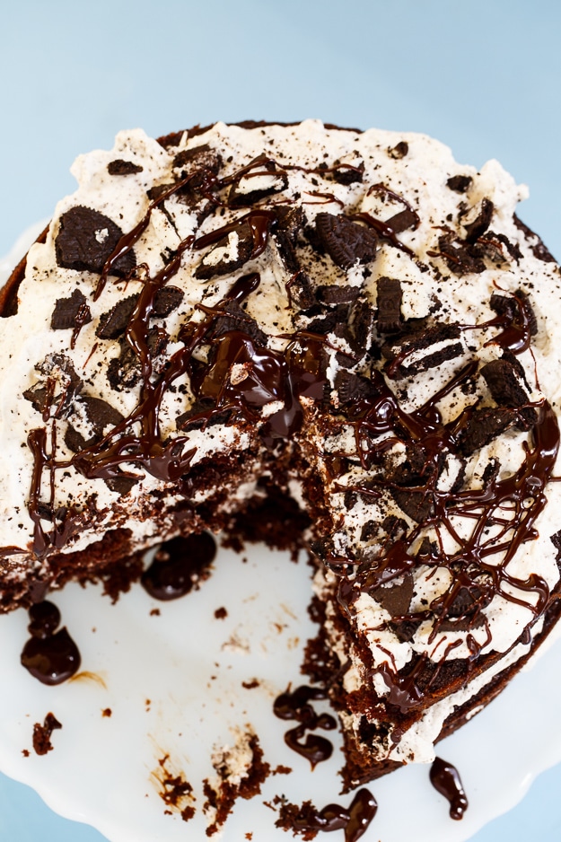 Mississippi Mudslide Cake and Grandbaby Cakes Cookbook - Spicy Southern ...