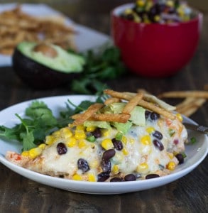 Santa Fe Chicken - Spicy Southern Kitchen